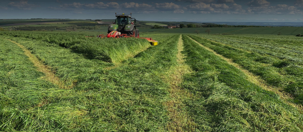 Greenstar Conversion Solutions | SolSteer Limited