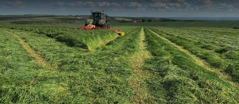 Greenstar Conversion Solutions | SolSteer Limited